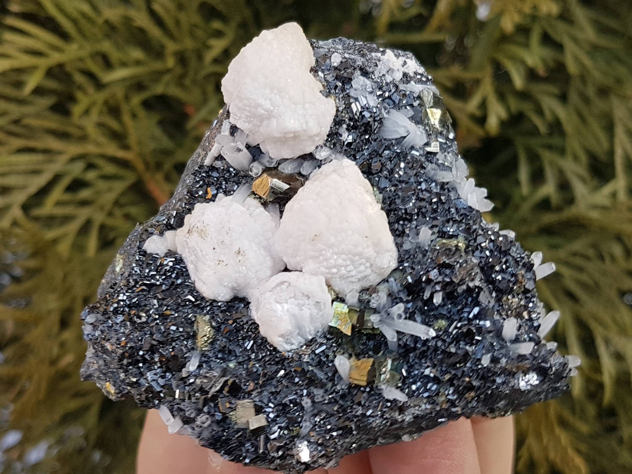 INCREDIBLE BLACK SPHALERITE with White Calcite Iridescent | Etsy