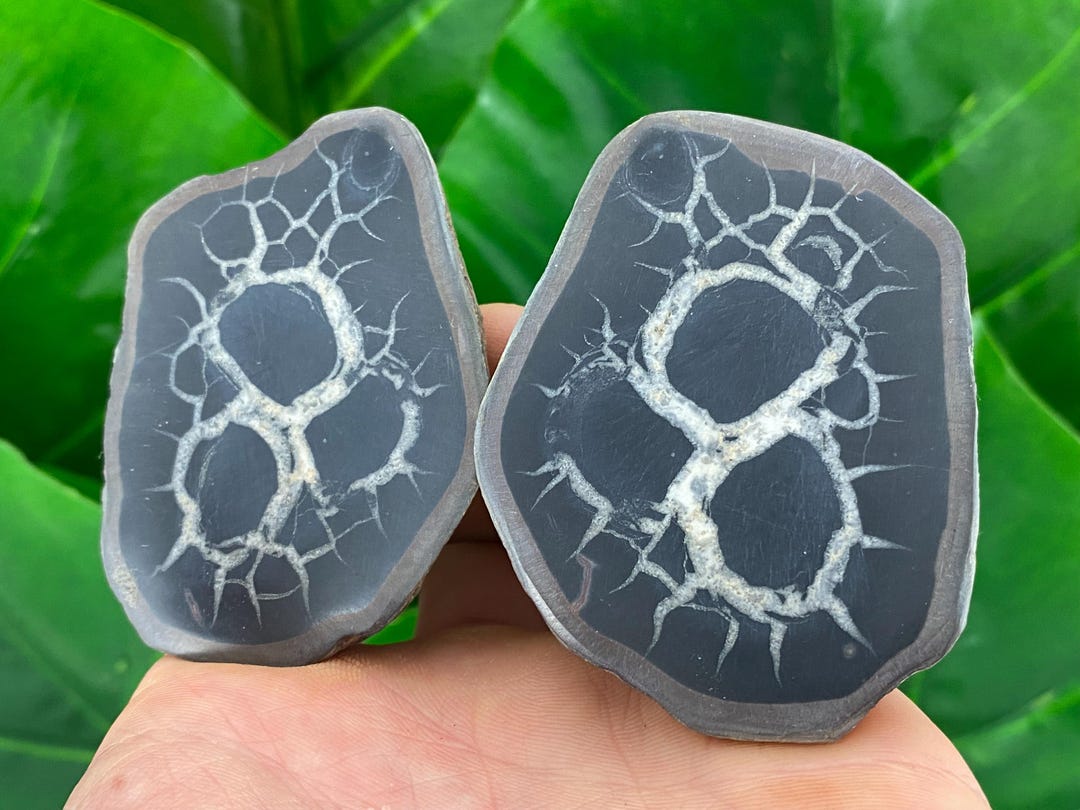 Polished Septarian Geode Pair From Morocco,dragon Stone Black Crystal ...