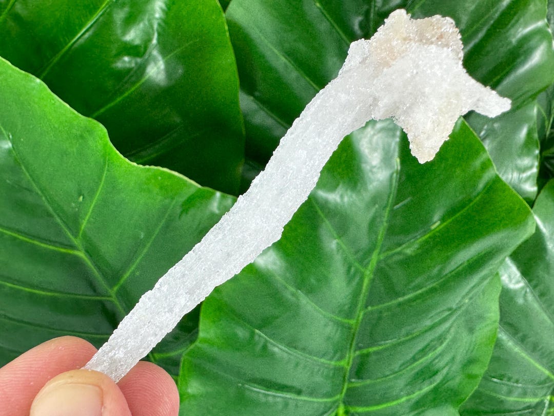Incredible 'ram's Horn' Selenite- Gypsum From Guizhou,china,rare Gypsum ...