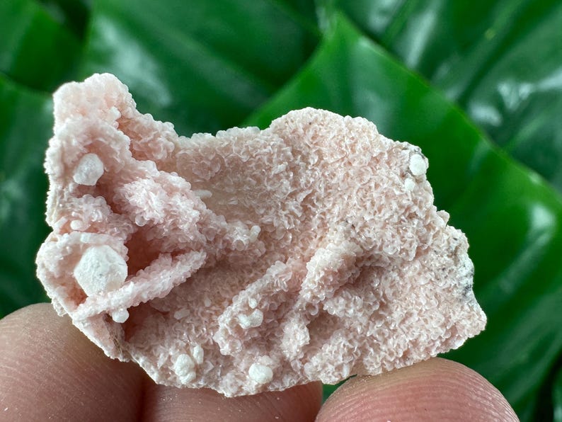 Amazing Rhodochrosite With Calcite From 9th September Mine,madan ...