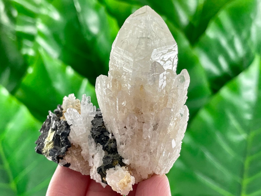 Amazing Quartz With Sphalerite and Chalcopyrite From Krushev Dol Mine ...