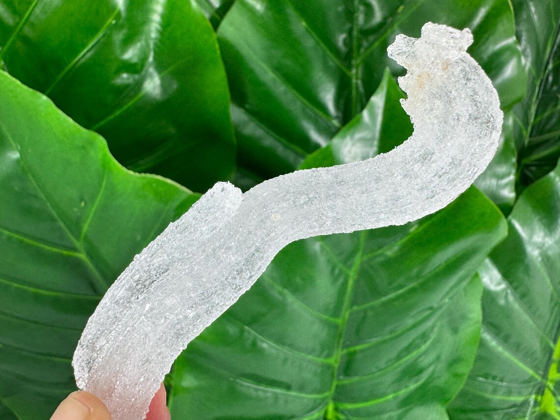Incredible 'ram's Horn' Selenite- Gypsum From Guizhou,china,rare Gypsum ...