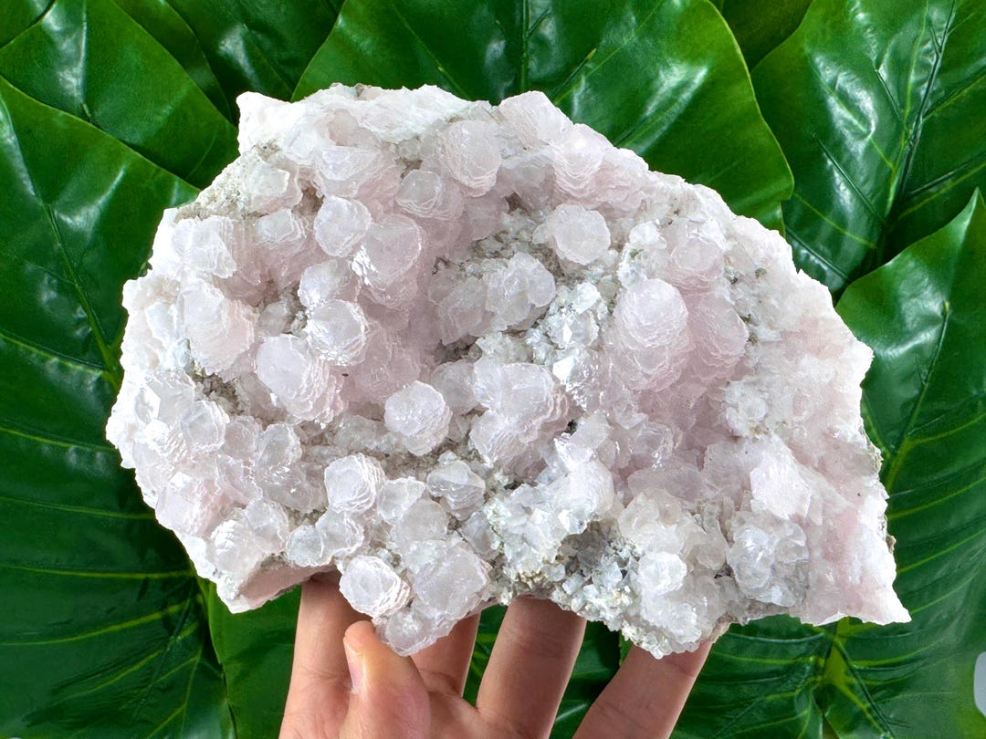 Strong Fluorescent Pink Mangano Calcite From Krushev Dol Mine,madan ...