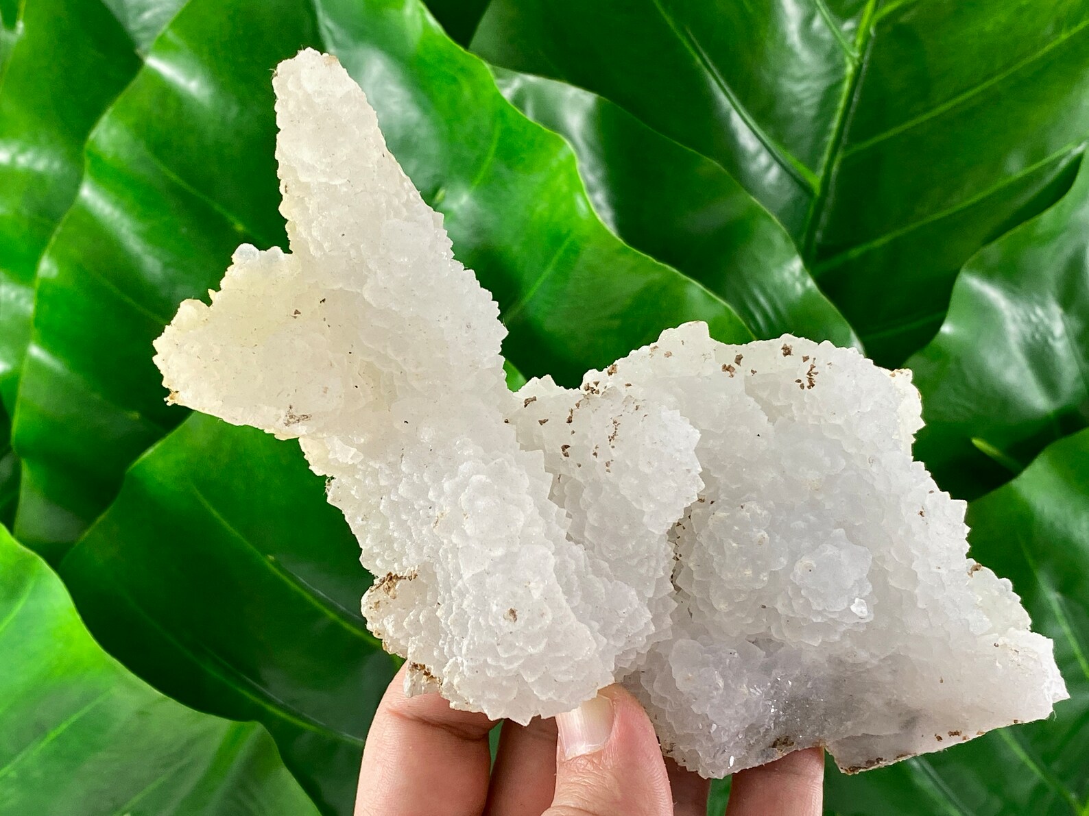 Very Rare Quartz From Krushev Dol Mine ,madan Ore Field,rhodope Mts ...