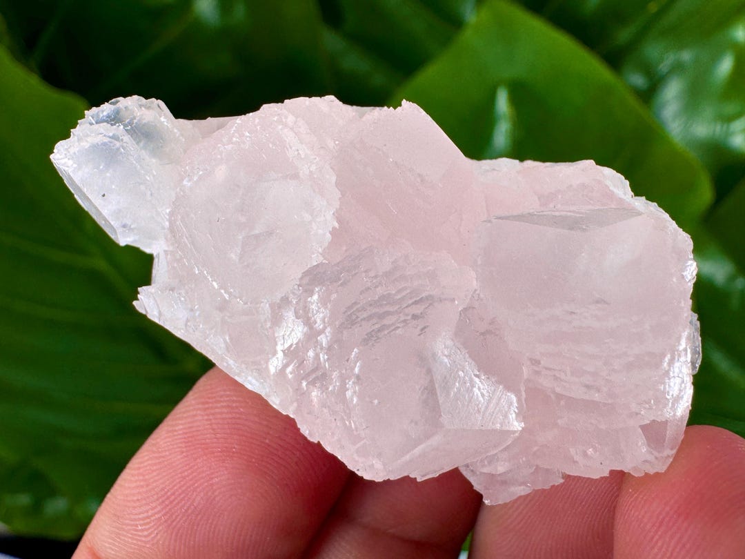 Strong Fluorescent Pink Mangano Calcite From Krushev Dol Mine,madan ...