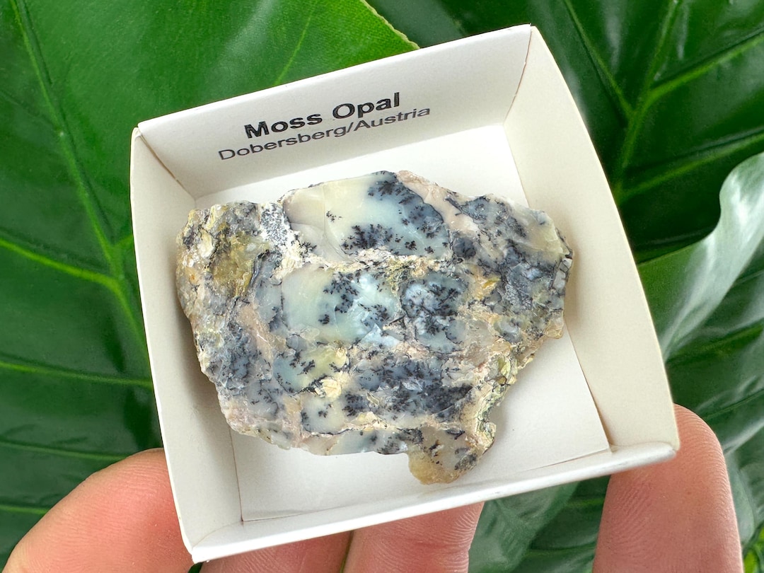 Beautiful Moss Opal From Dobersberg,austria ,mineral,specimeno,crystal Mineral,collection ...