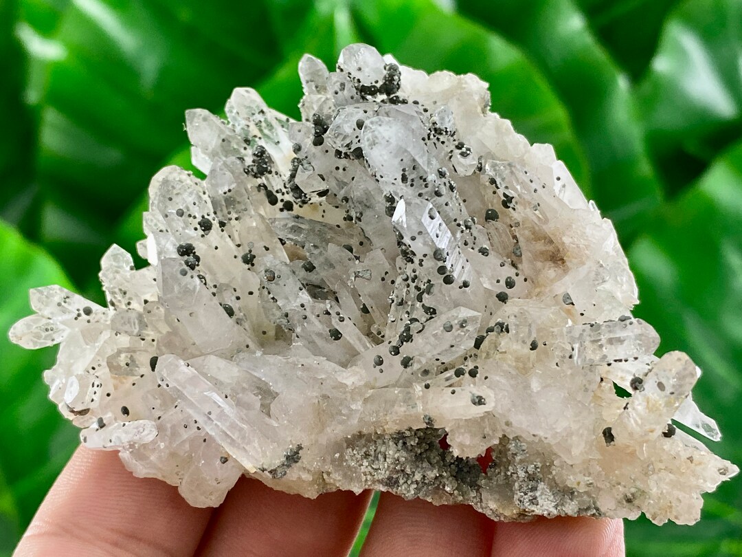 Transparent Quartz With Balls Chlorite From Borieva Mine,madan,bulgaria ...