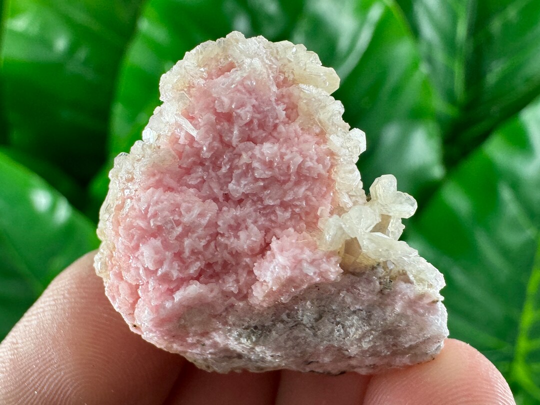 Amazing Mini Rhodochrosite With Stilbite From Davidkovo Ore Filed ...