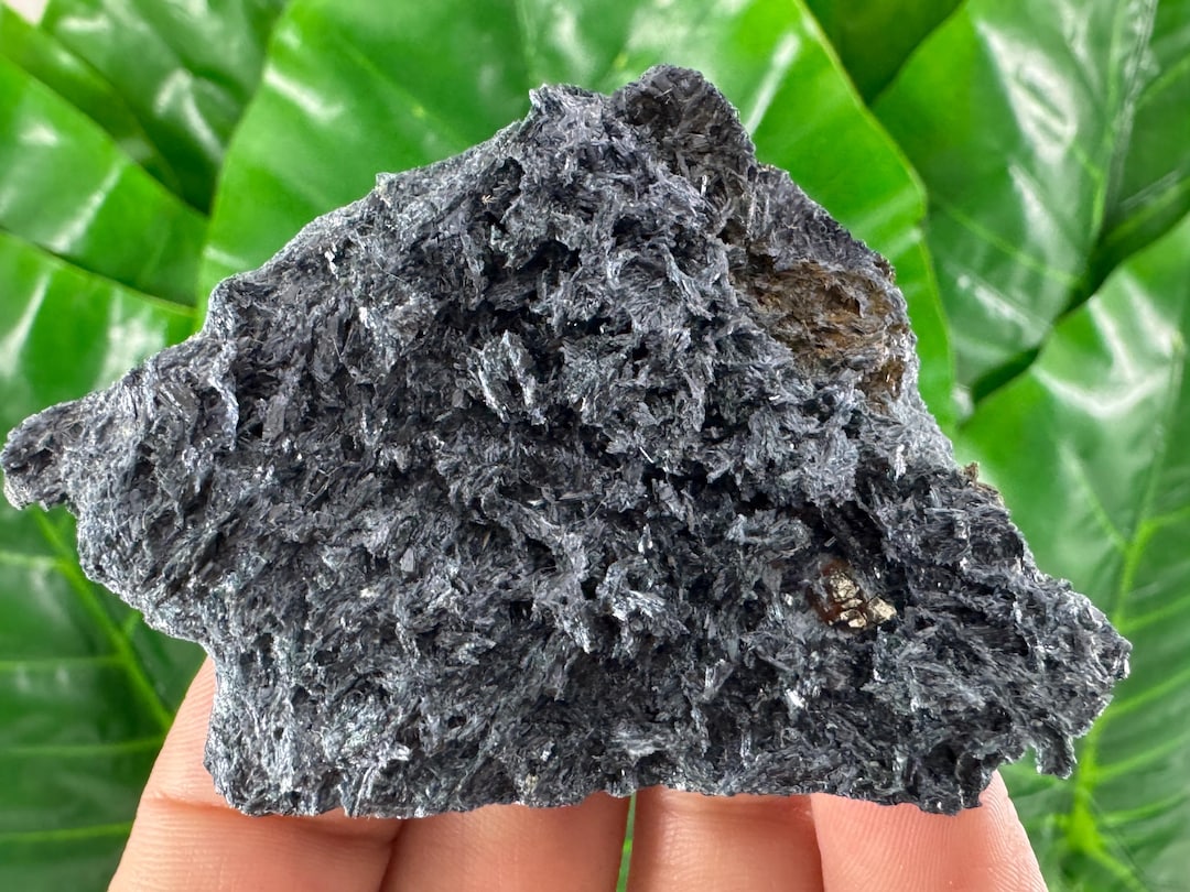 Very Rare Glaucophane From Rio Oremo, Chiavolino,pollone, Biella ...