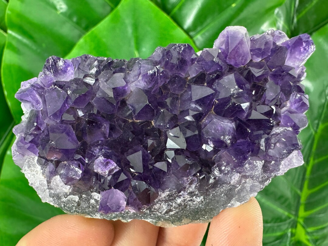 Uruguay Amethyst Crystal: Deep Purple Home Decor (7.6 X 4.9 Cm, 149 ...
