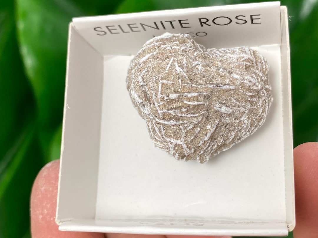 Natural Selenite Rose From Mexico – Gypsum Desert Rose Crystal,mineral ...