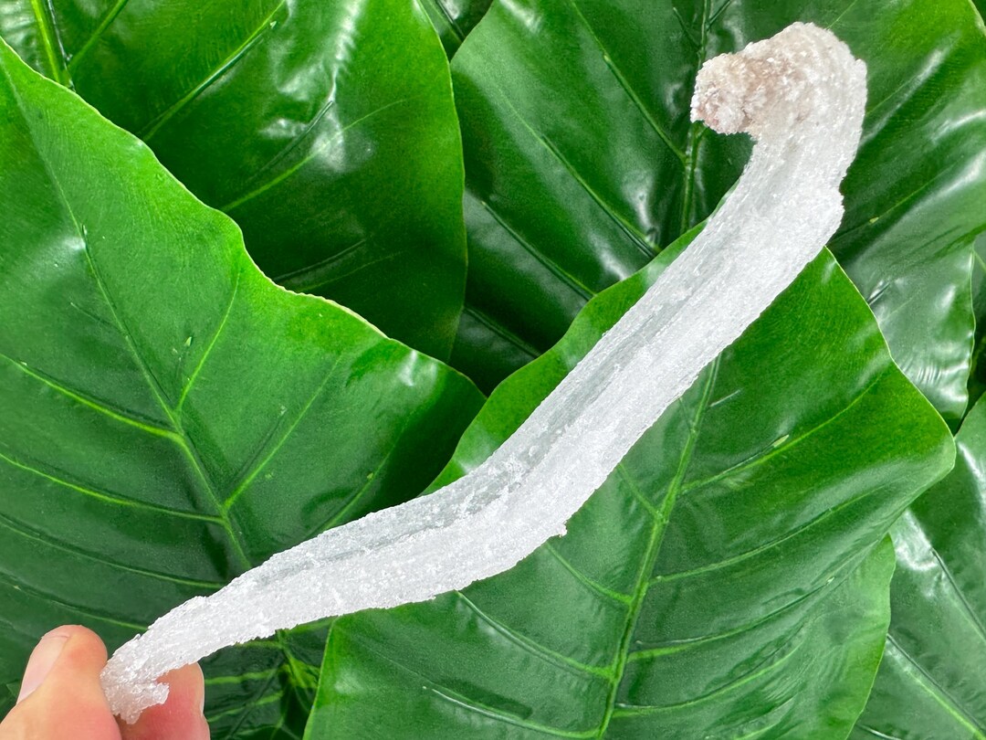 Incredible 'ram's Horn' Selenite- Gypsum From Guizhou,china,rare Gypsum ...