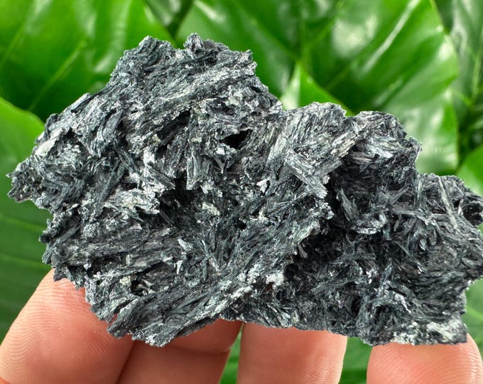 Very Rare Glaucophane From Rio Oremo, Chiavolino,pollone, Biella ...