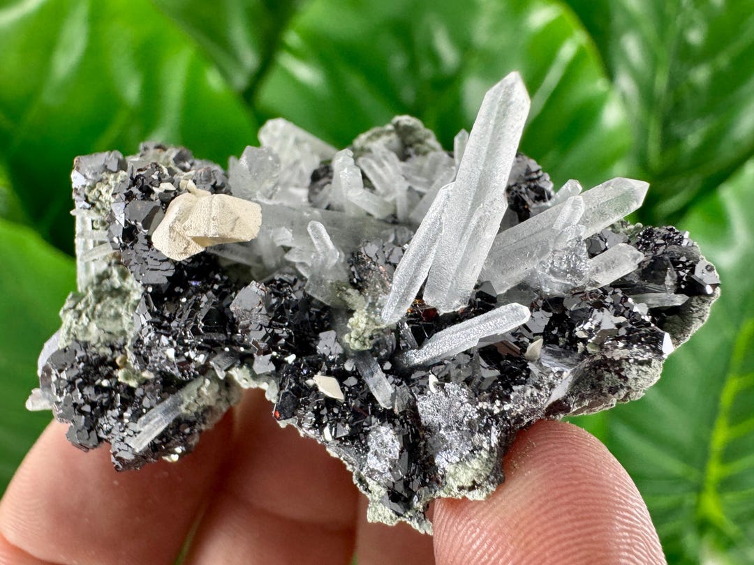 Aesthetic Quartz With Sphalerite and Calcite From Borieva Mine,madan ...