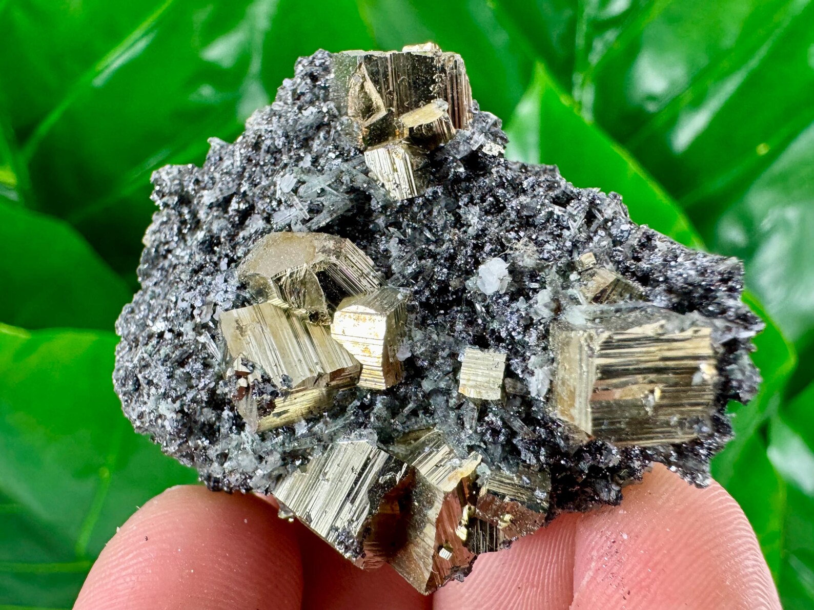 Amazing Pyrite on Sphalerite From Krushev Dol Mine,madan,bulgaria ...