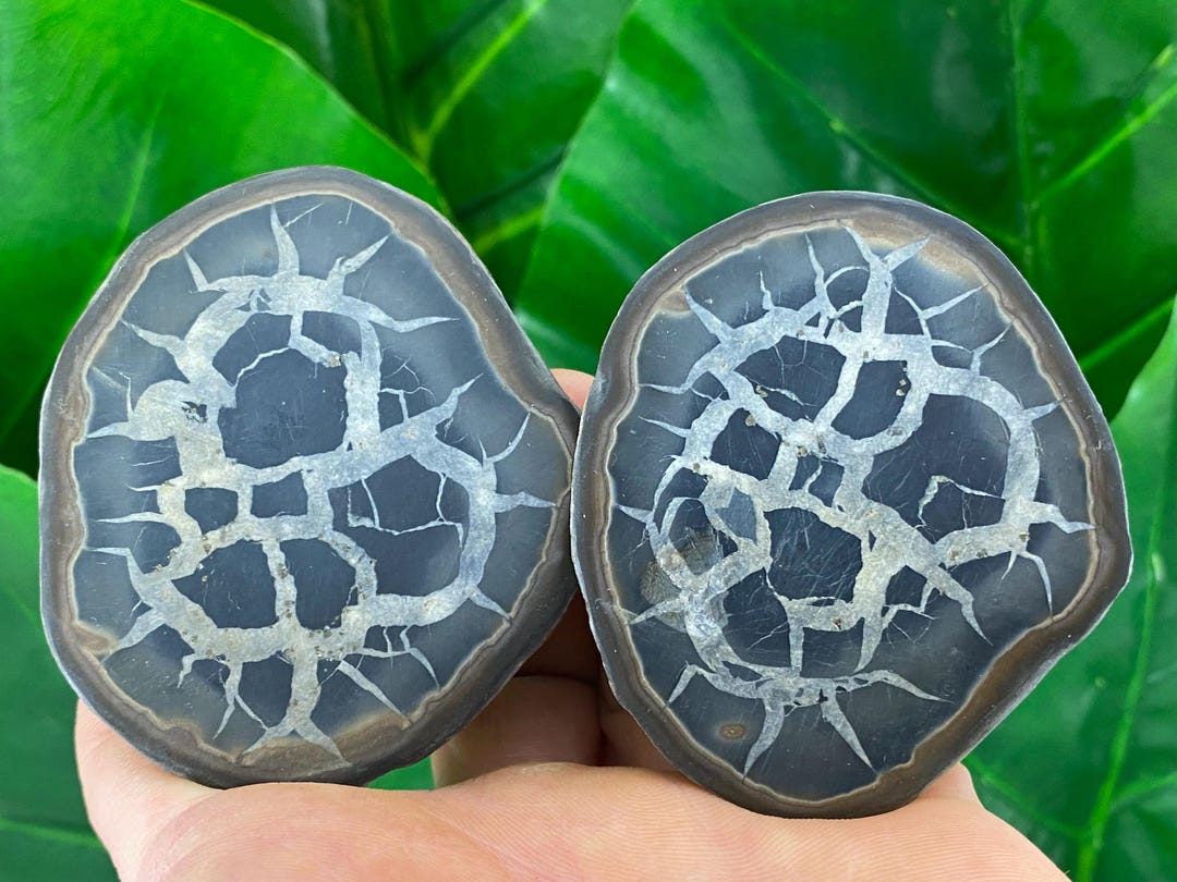 Polished Septarian Geode Pair From Morocco,dragon Stone Black Crystal ...