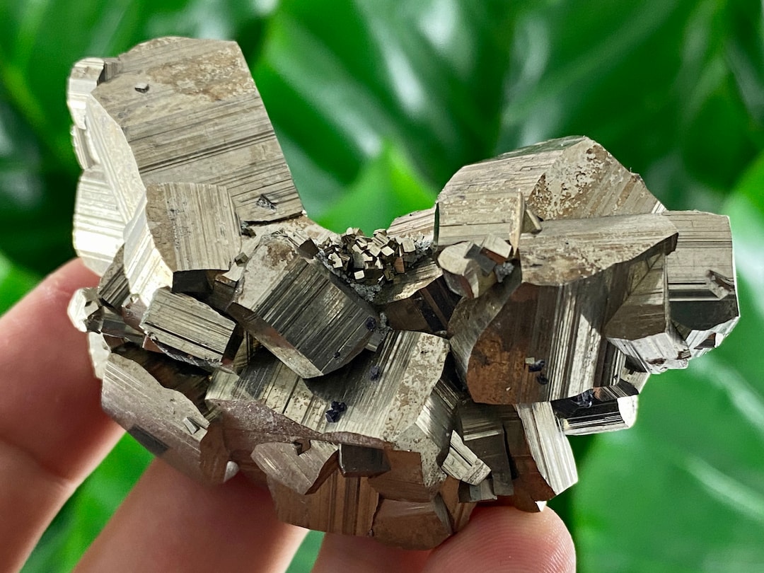 INCREDIBLE Double Sided Golden Pyrite With Chlorite,crystal,mineral ...