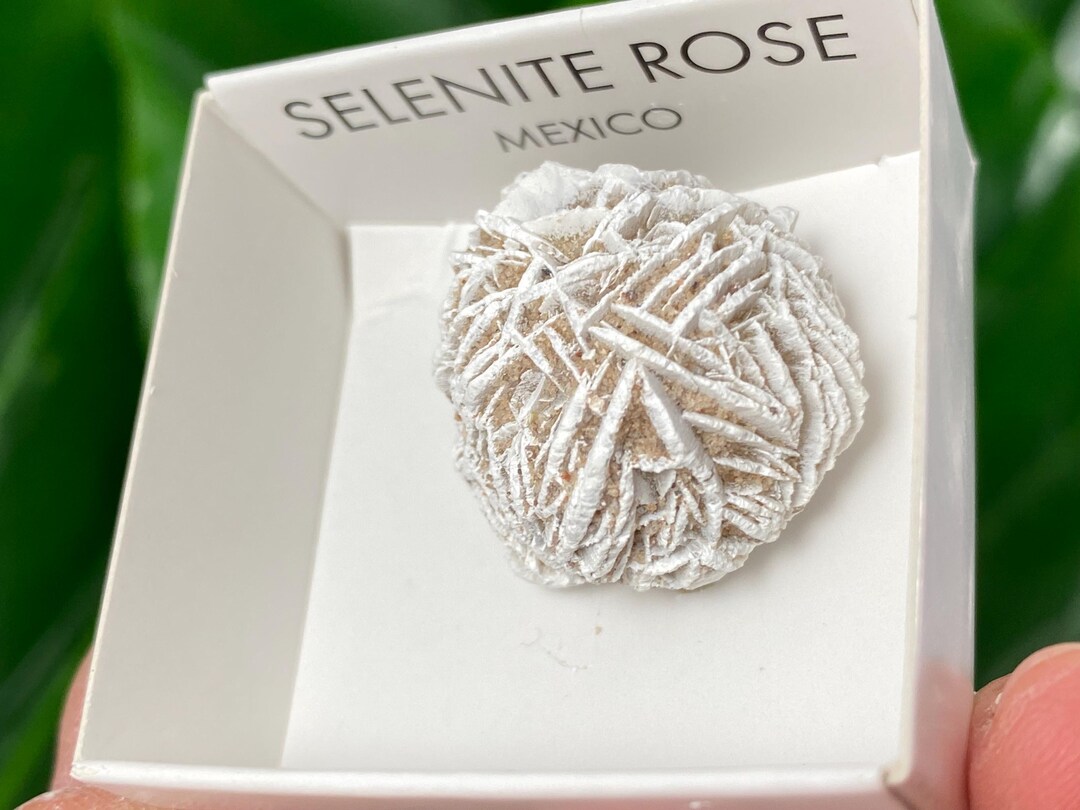 Natural Selenite Rose From Mexico – Gypsum Desert Rose Crystal,mineral ...