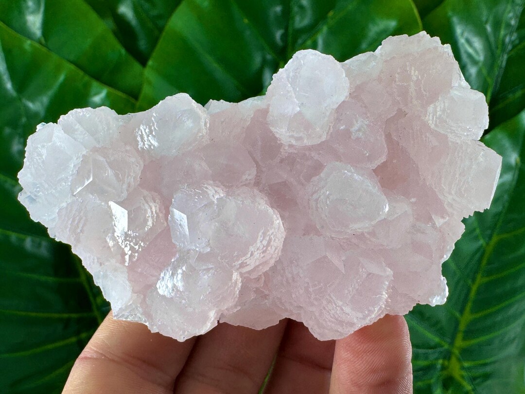 Strong Fluorescent Pink Mangano Calcite From Krushev Dol Mine,madan ...