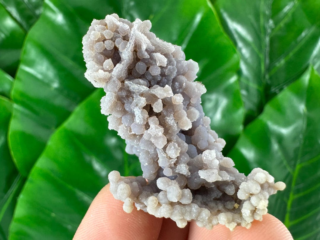 Very Nice Grape Agate From Indonesian,grape Agate,purple Grape Agate ...