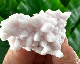 Strong Fluorescent Pink Mangano Calcite From Krushev Dol Mine,madan ...