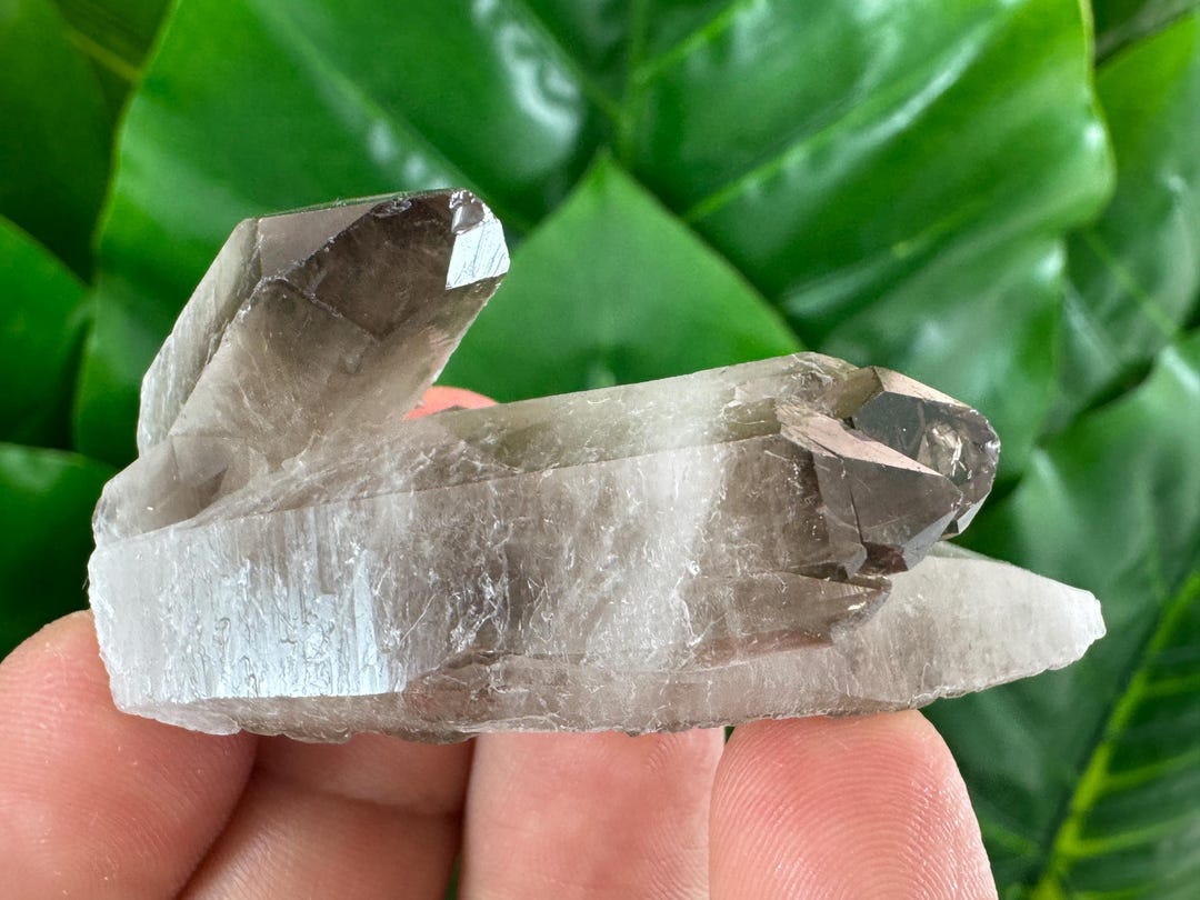 Amazing Black Smoky Quartz Cluster From Brazil,mineral,specimen ...