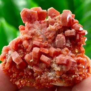 A Very Nice Vanadinite From Morocco,crystal, Mineral,specimen,cluster ...