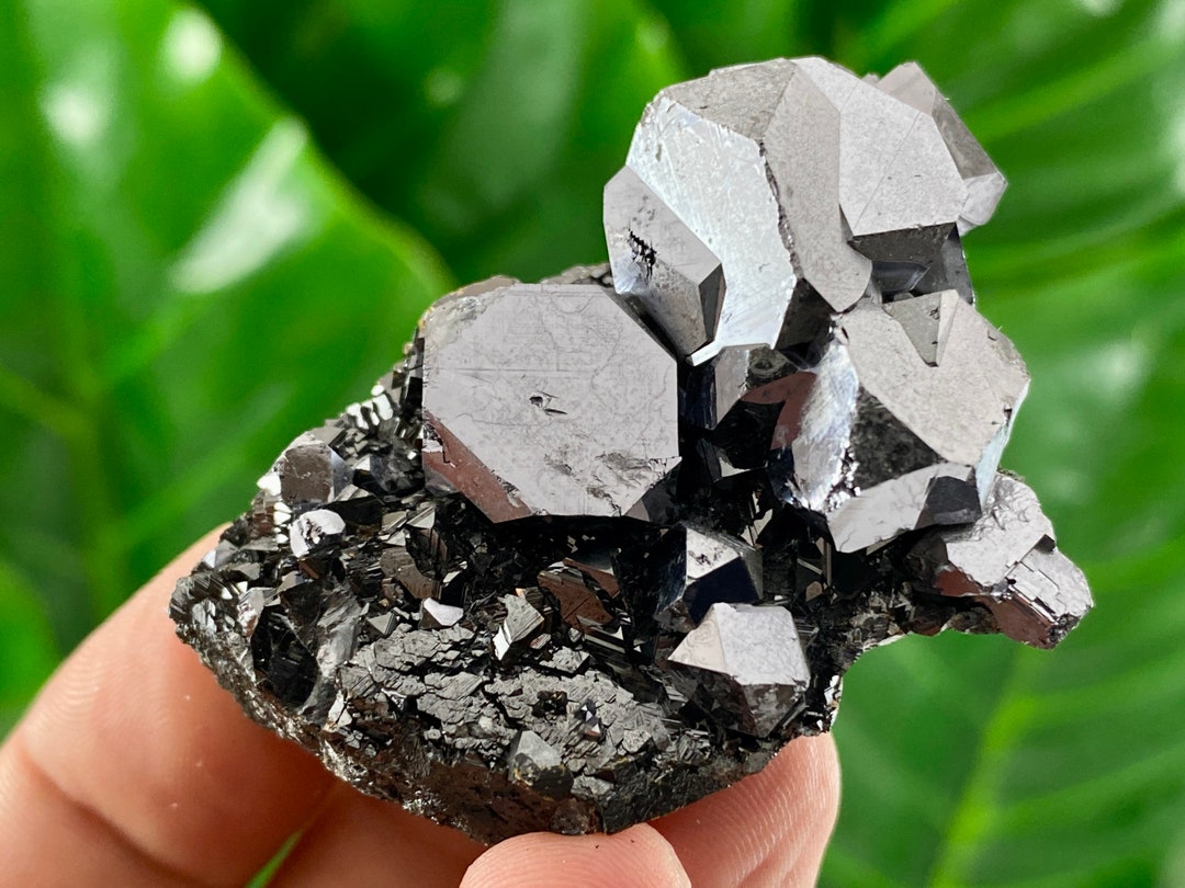 Amazing Galena With Sphalerite From Gidurska Mine,zlatograd,bulgaria ...