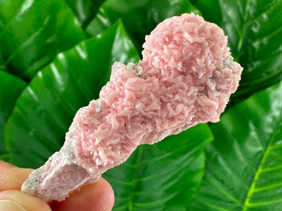 Rare Rhodochrosite and Quartz From Davidkovo Ore Filed,bulgaria,pink ...