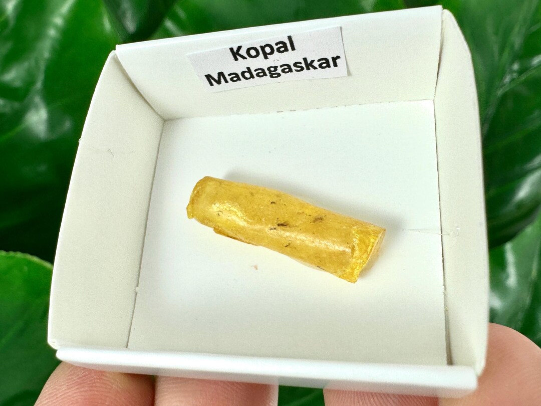 Amazing Copal From Madagascar ,madagascar Minerals,amber Copal Amber ...