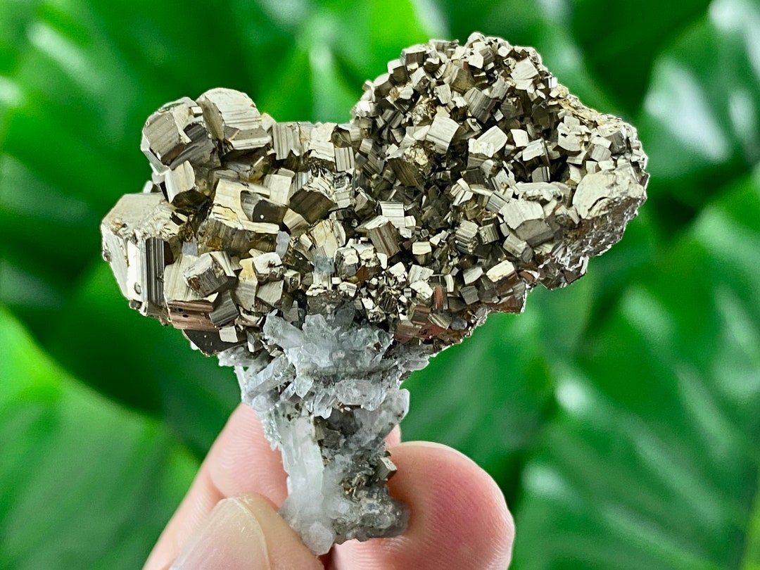 INCREDIBLE Pyrite With Quartz From Borieva Mine,madan,bulgaria Natural ...