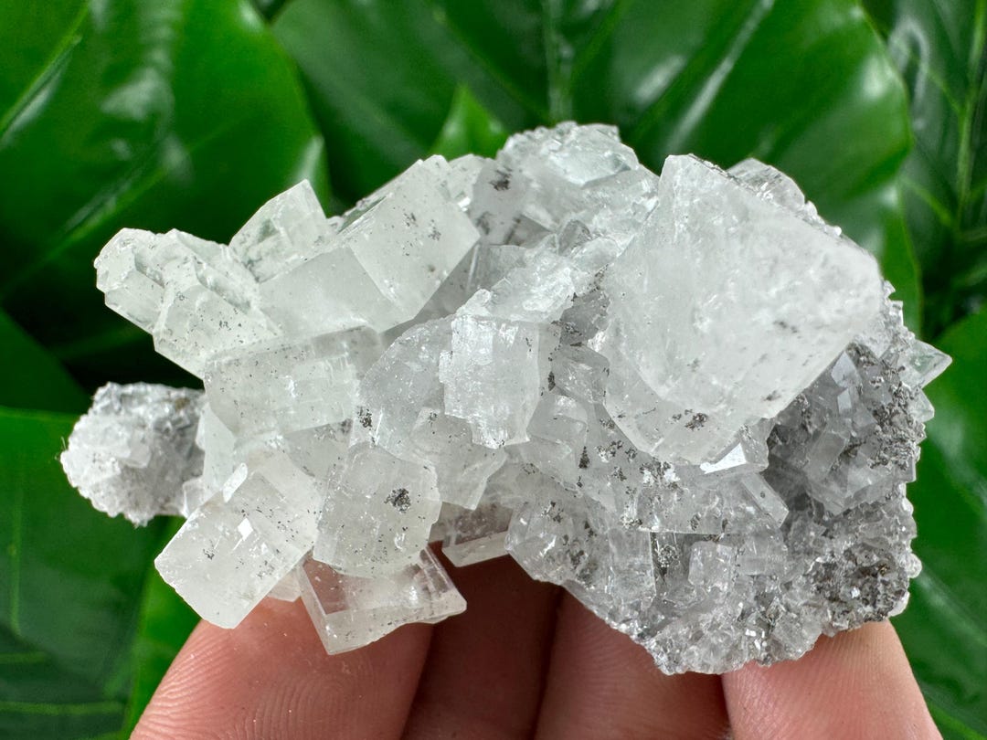 Transparent Baryte With Pyrite From Androvo Mine,zlatograd,bulgaria ...
