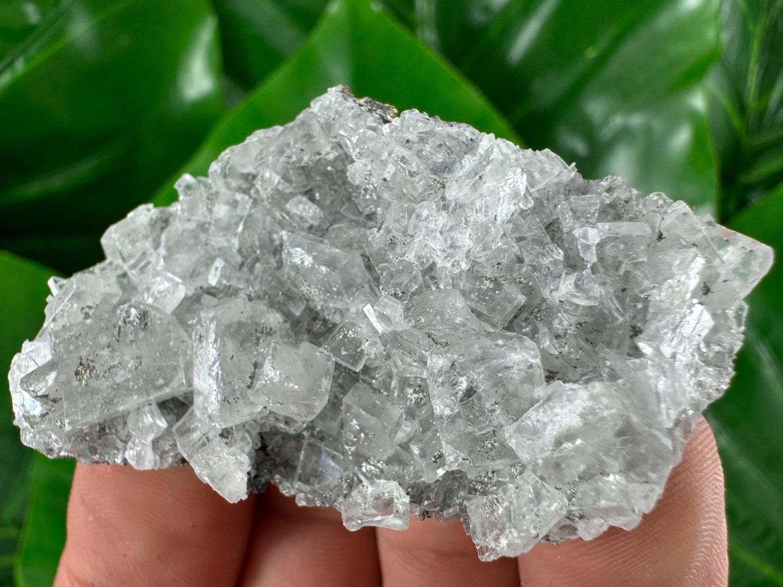 Transparent Baryte With Pyrite From Androvo Mine,zlatograd,bulgaria ...