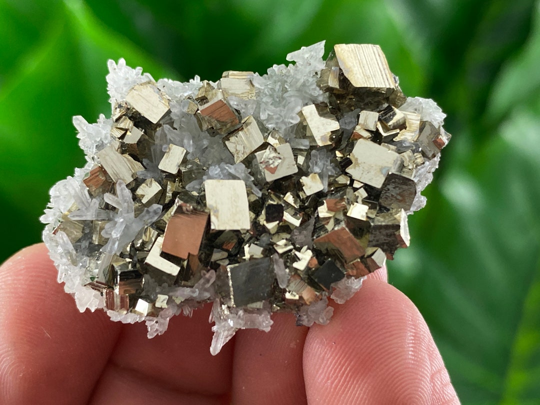 Double Sided Pyrite and Quartz From Borieva Mine Madan,bulgaria,mineral ...