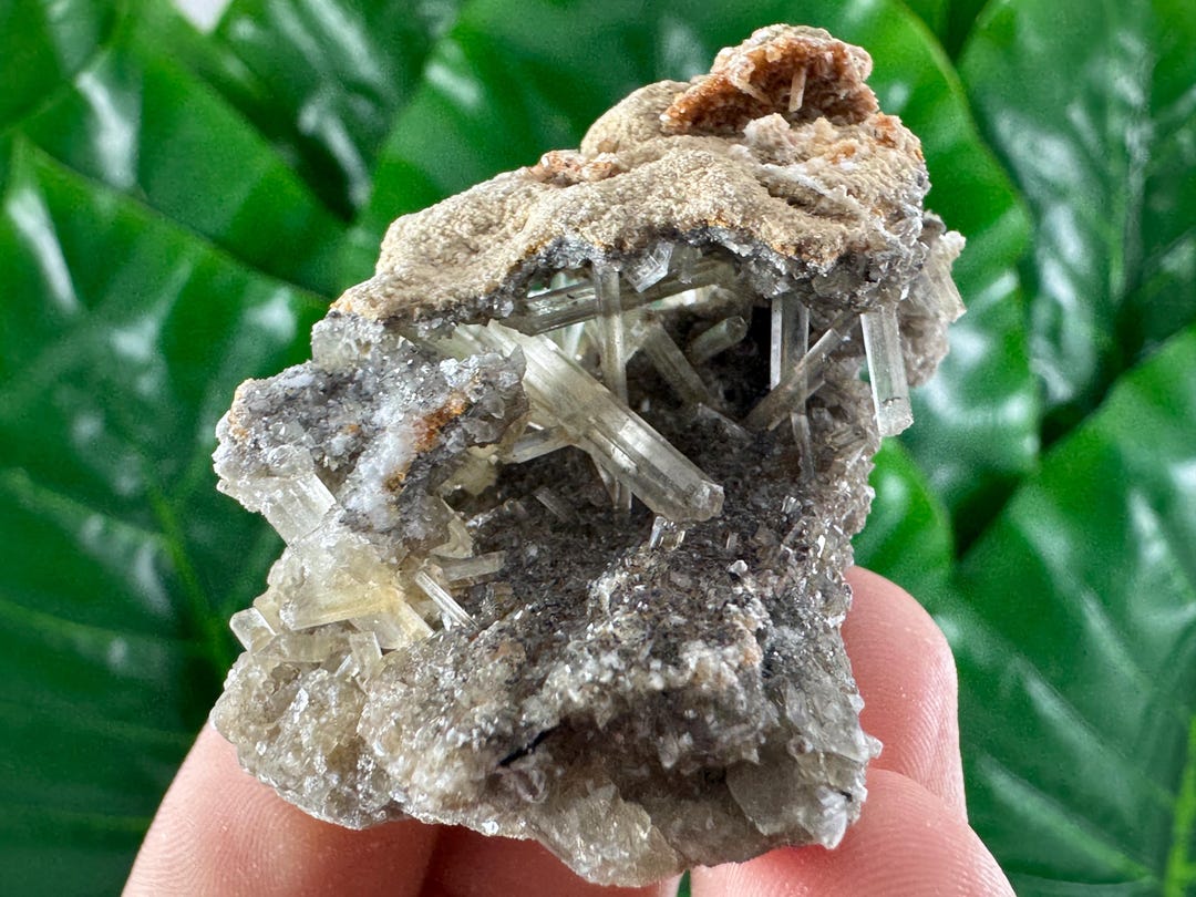 Gypsum Crystal Cluster: Lubin,poland,natural Gypsum,collector’s,mineral ...
