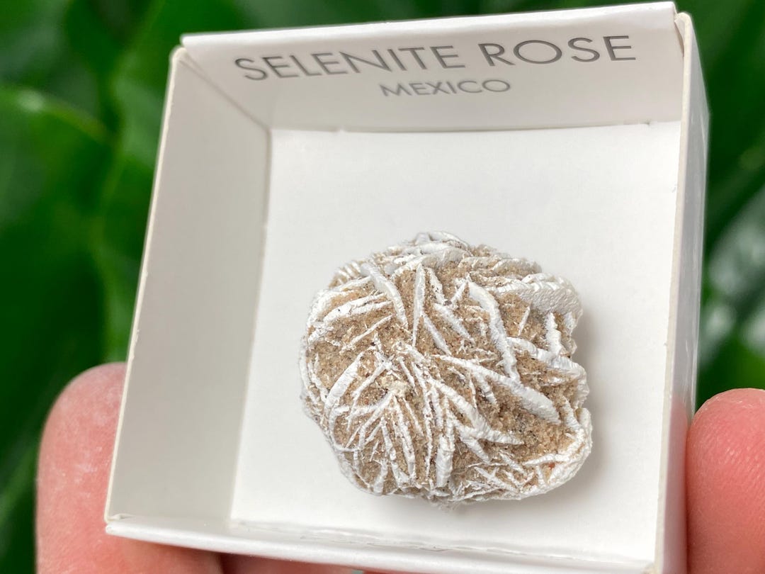 Natural Selenite Rose From Mexico – Gypsum Desert Rose Crystal,mineral ...