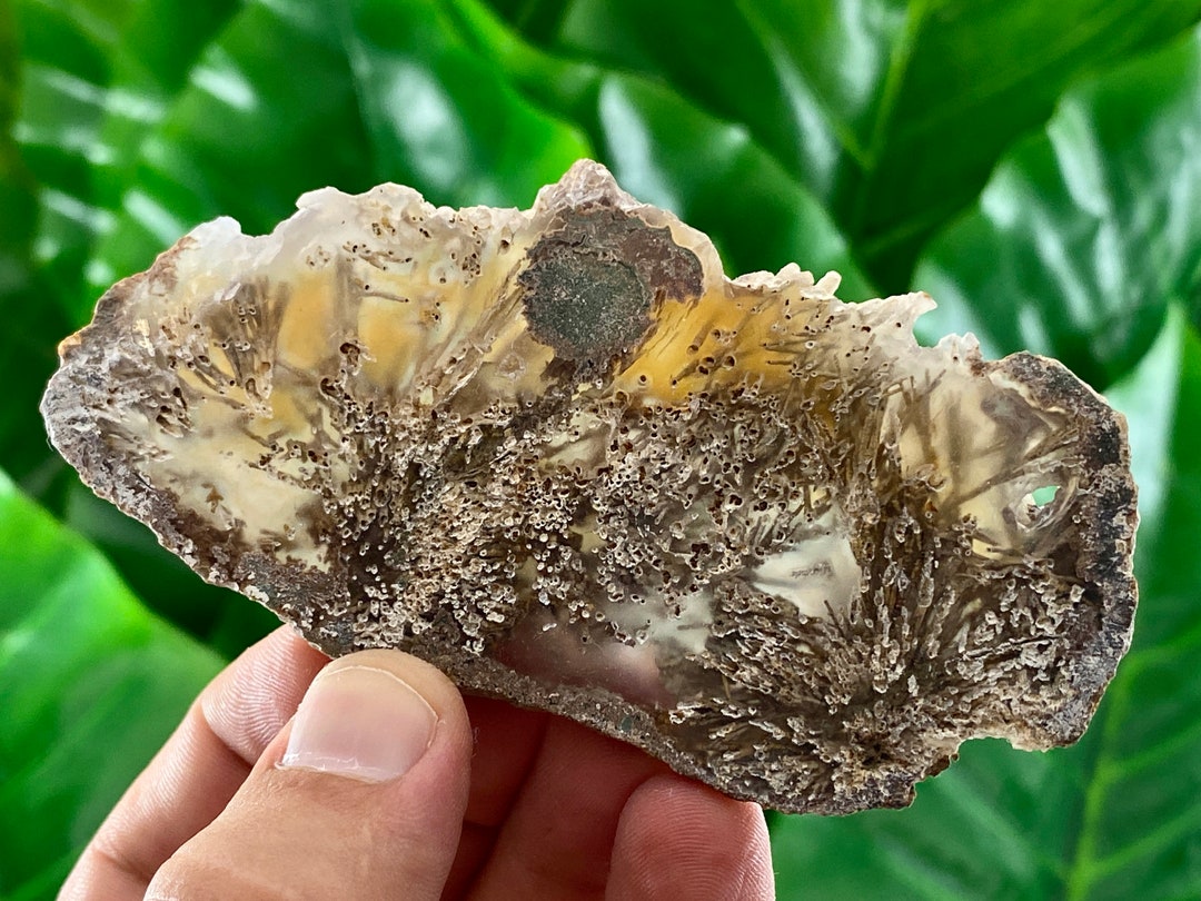 Polished Sagenite Agate From Bulgaria,geode Agate,bulgarian Agate,home ...