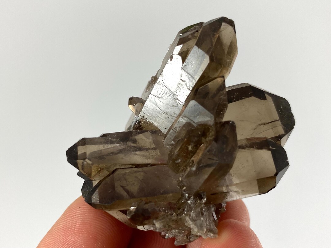 Aesthetic Black Smoky Quartz Cluster From Brazil,mineral,specimen ...