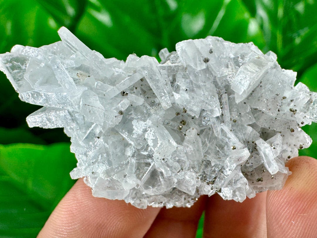 Transparent Baryte With Pyrite From Androvo Mine,zlatograd,bulgaria ...