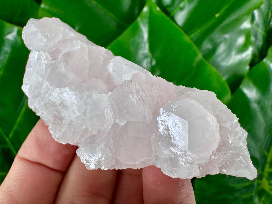 Strong Fluorescent Pink Mangano Calcite From Krushev Dol Mine,madan ...