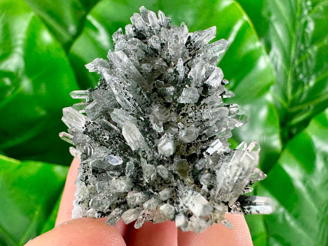 RARE Transparent Quartz With Chlorite From Borieva Mine,madan,bulgaria ...