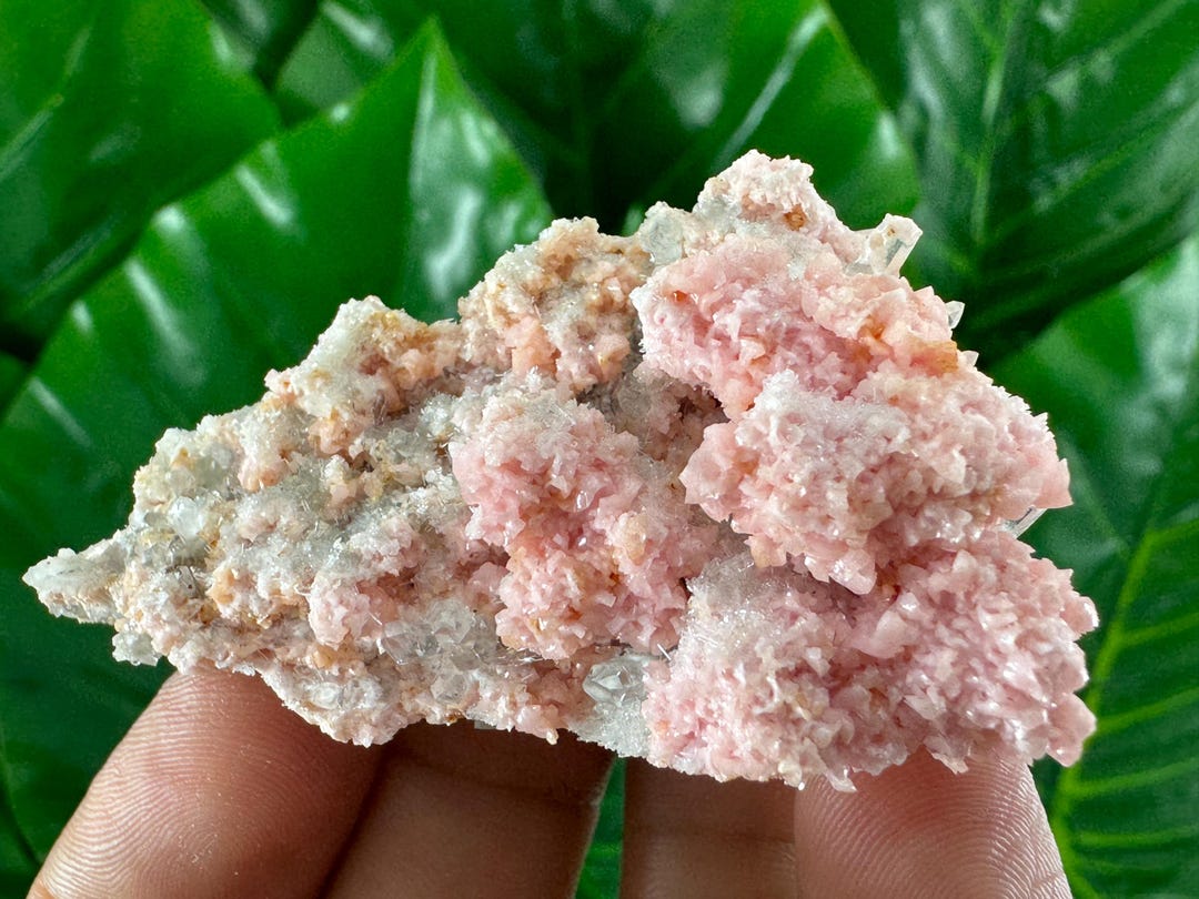 Rare Rhodochrosite and Quartz From Davidkovo Ore Filed,bulgaria,pink ...