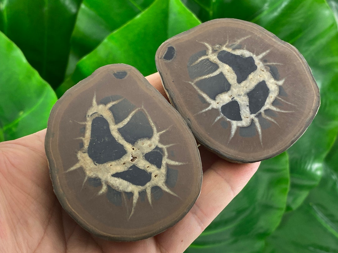 Polished Septarian Geode Pair From Morocco,dragon Stone Black Crystal ...