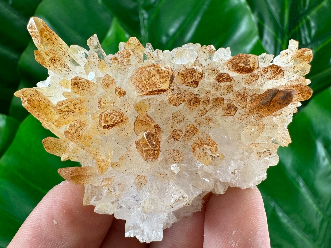 Transparent Quartz With Limonite From 9th September Mine,madan,bulgaria ...