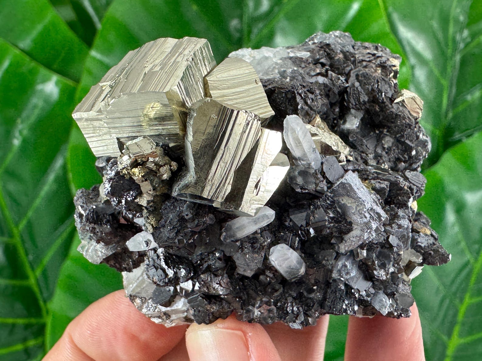 Amazing Pyrite With Sphalerite Galena and Quartz From 9th September ...