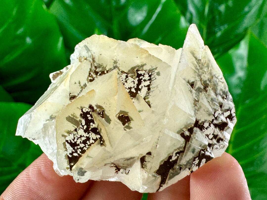 Very Rare Calcite With Iron Oxide,chlorite Inclusions From Krushev Dol ...