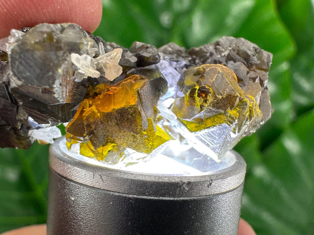 Gem Sphalerite With Quartz From Krushev Dol Mine,madan,bulgaria,home ...
