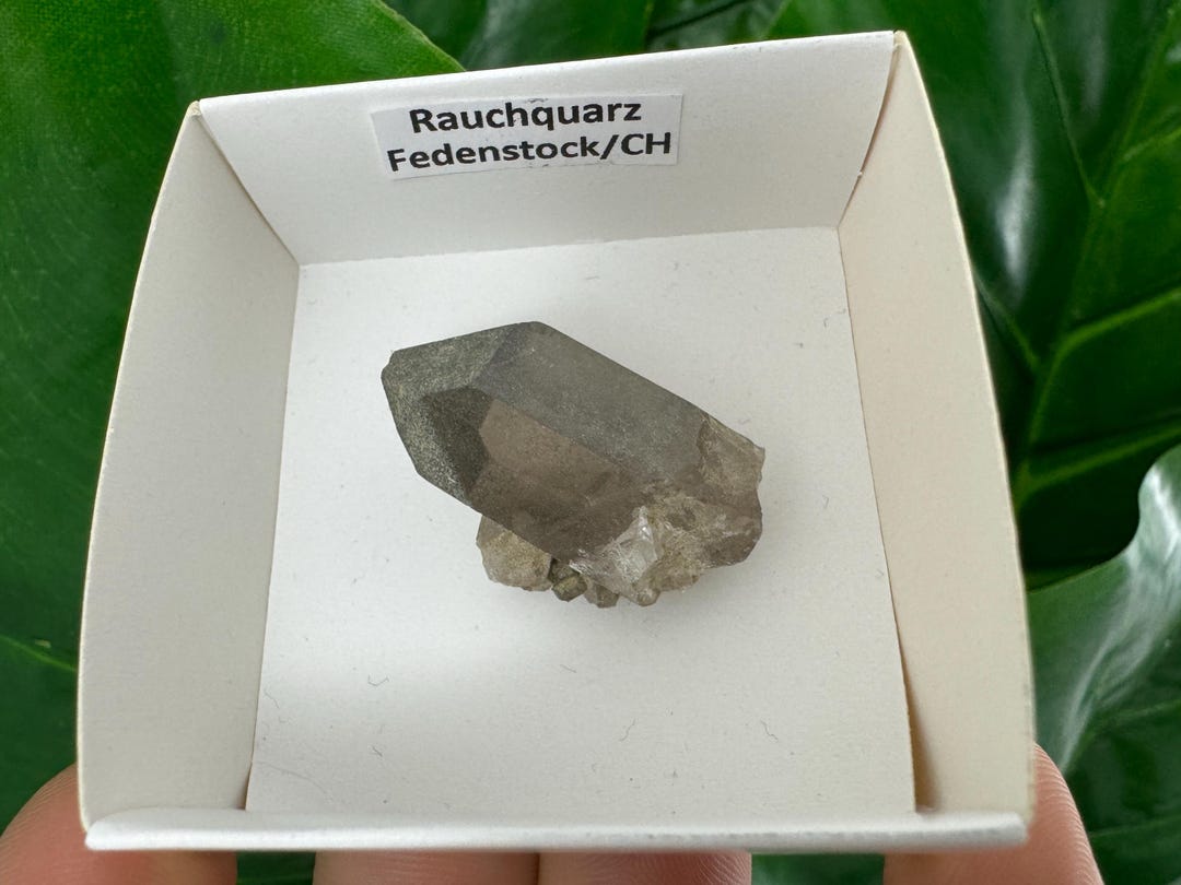 Rare Smoky Quartz From Fedenstock (mountain) Switzerland,mineral,specimen,collection,black ...