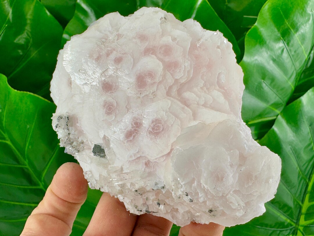 Fluorescent Mangano Calcite,galena From Borieva Mine,madan ,bulgaria ...