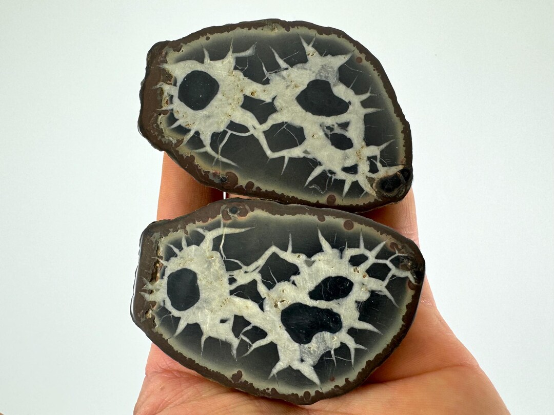 Polished Septarian Geode Pair From Morocco,dragon Stone Black Crystal ...